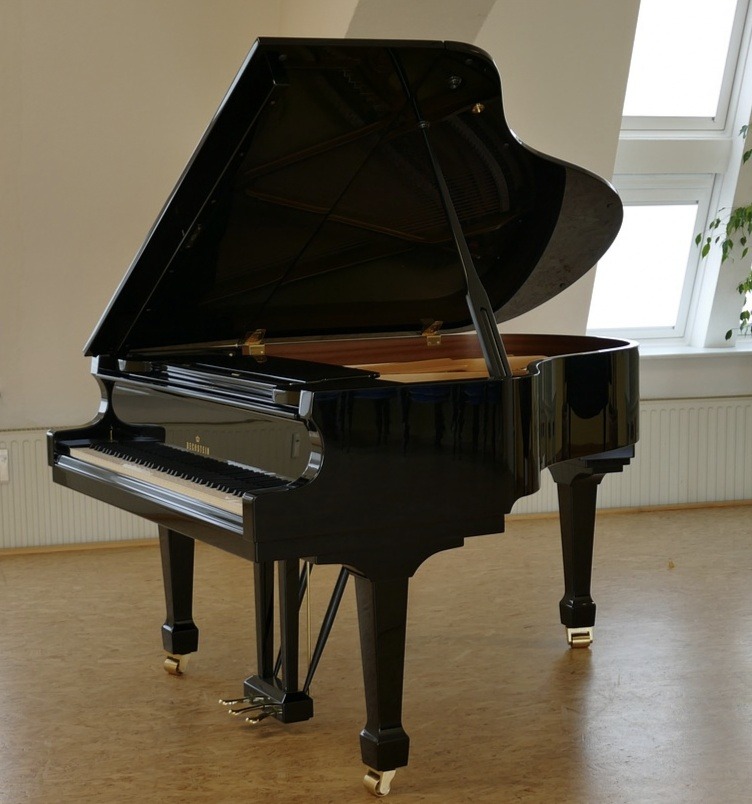 Types of Pianos, Acoustic vs Digital Piano, Horizontal & Vertical Piano